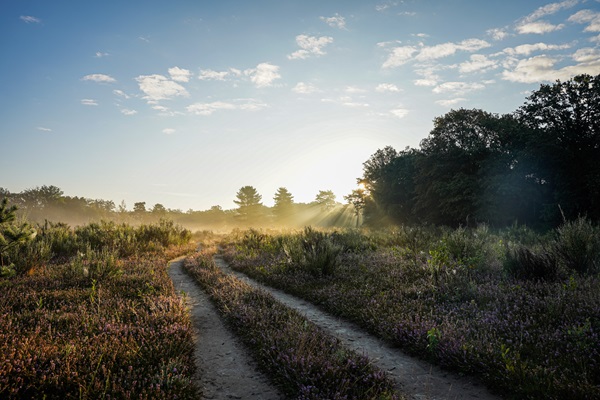 Natuur in Limburg | VVV Hart van Limburg